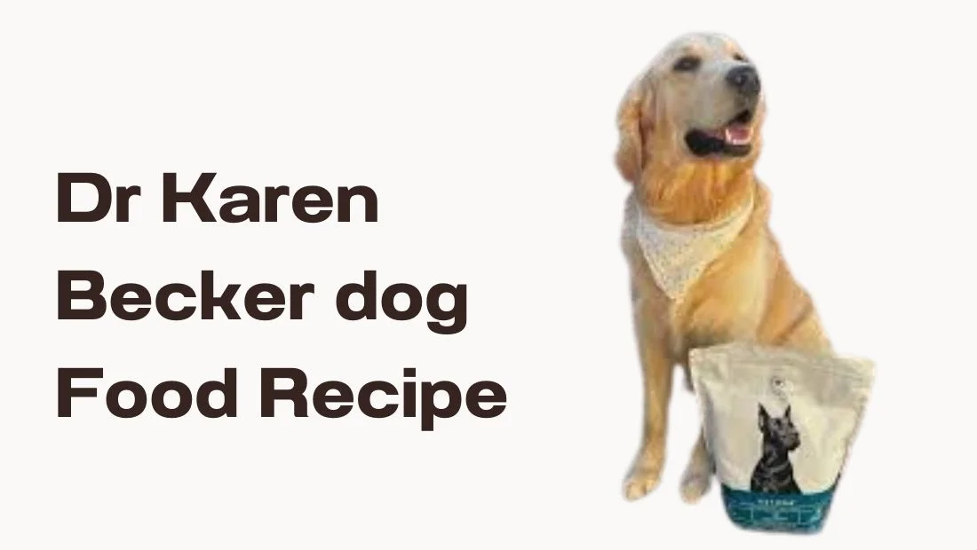 dr Karen Becker Dog Food Recipe